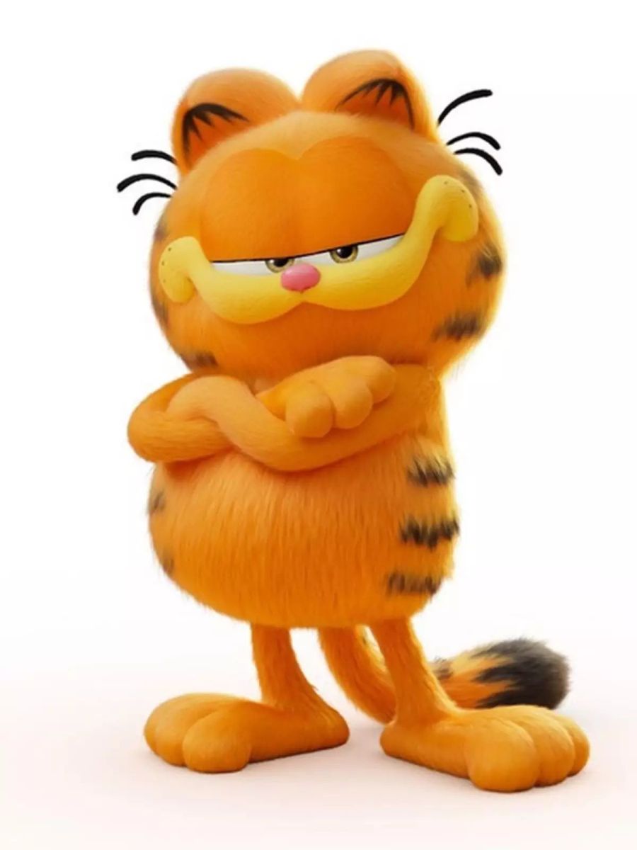 Garfield completa 45 anos – MONDO MODA